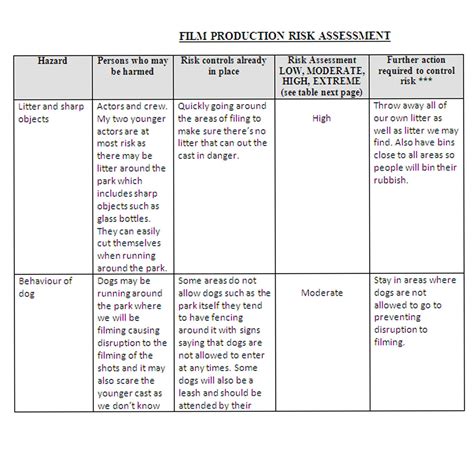 Risk Assessment Sheet My Xxx Hot Girl