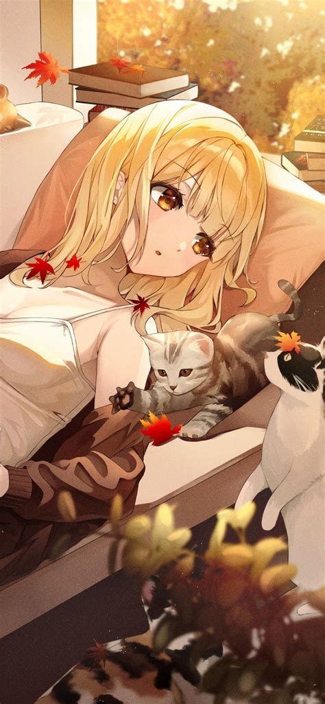 少女和她的猫猫 动漫手机动态壁纸 动漫手机壁纸下载 元气壁纸