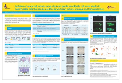 Poster Isolation Of Neural Cell Subsets Using A Fast And Gentle