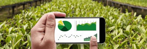 the role of big data analytics in agriculture addepto