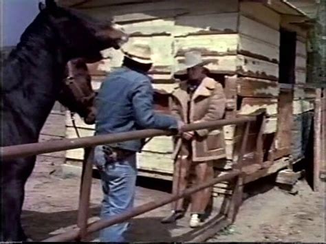 Sabrina Dawn Porn Videos Porn Star Sex Scenes XHamster