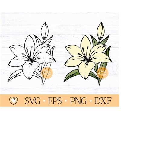 Lily Svg Lily Flower Svg Lily Cut File Inspire Uplift