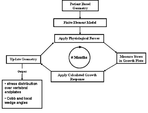 Block Diagram Of Algorithm Pattern Controlling Growth Simulation Download Scientific Diagram