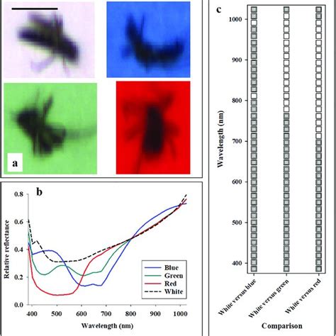 stereo photogrammetry diagram photomodeler scanner user manual eos download scientific