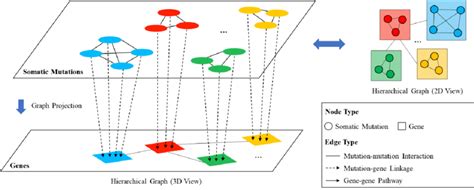 Hierarchical Graph Construction And Projection Download Scientific