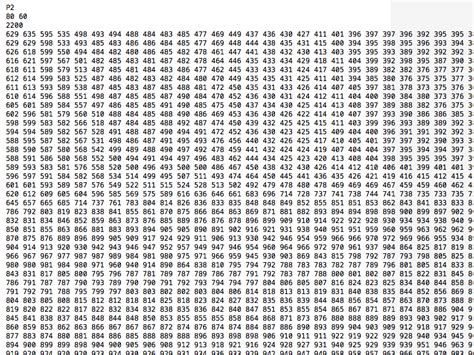 How To Read Pgm Files Rommatrix