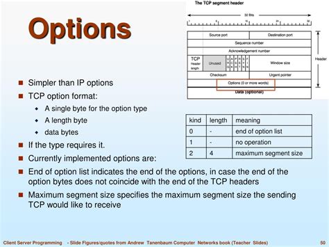 Ppt The Tcpip Reference Model Powerpoint Presentation Free Download