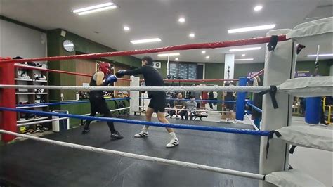 2024년 2월 6일 복싱 스파링 스파링 복싱 권투 일반 복싱 Boxing Sparring Youtube