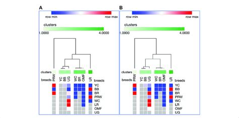 Heatmaps And Hierarchical Clustering Trees Based On Euclidean Distance