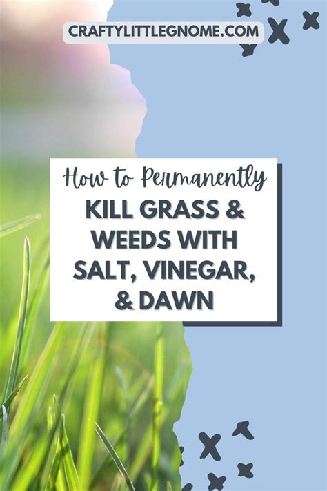 How To Permanently Kill Weeds And Grass With Homemade Weed Killer Artofit