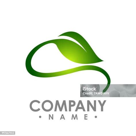 녹색 잎 생태 자연 요소 벡터 아이콘의 로고 모양 잎 로고와 추상 유기 잎 로고 디자인 잎 로고 에코 그래픽 창조적인
