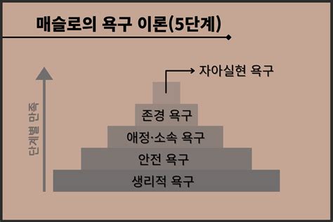 능력주의는 공정한가