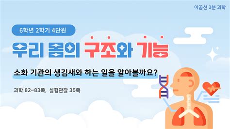 아꿈선 천재이 4단원 3차시 우리 몸의 소화 기관 아꿈선