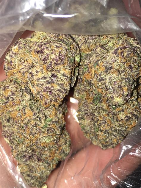 Nerdz 😈 Scrolller