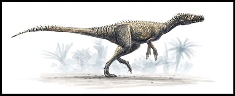 Herrerasaurus Facts And Pictures