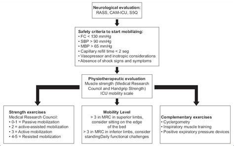 Rehabilitation In Post Cardiac Transplantation Experience In Mexicos