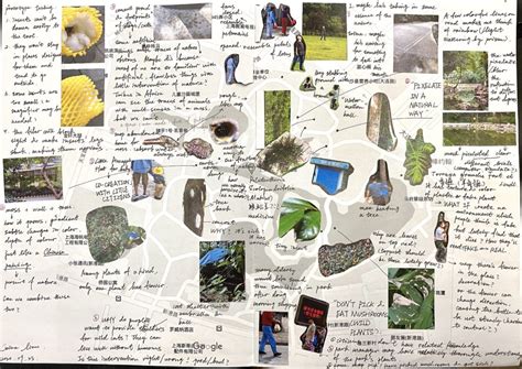Explorative Research Of Urban Nature 1 Ecology And Cultures