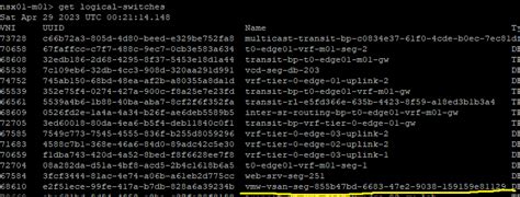 VMware NSX Segment Fails To Delete From NSX Manager Status Is Delete In Progress Virtual