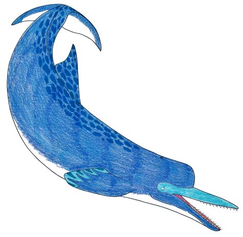 Zygophyseter 2 0 By Suchomimus62 On Deviantart