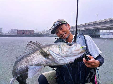 土砂降り 1匹目をキャッチした後ランガンし ショアラインシャイナーZバーティスR98F で追加のシーバス 土砂降り中に釣れたので