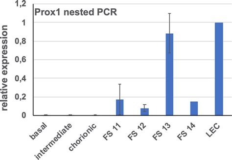 Nested Pcr Comparing Prox1 Expression In Placenta Foreskin And Lecs