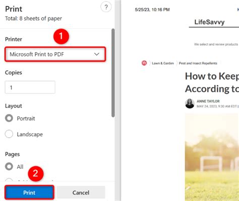 How To Print To PDF On Windows