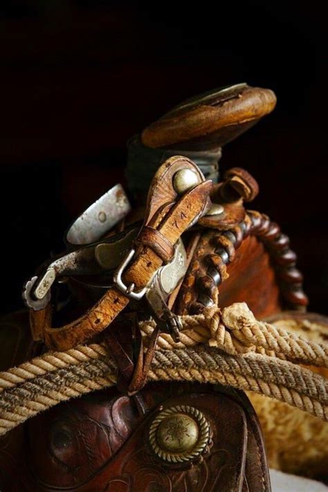 Whiskey Sex And Lies