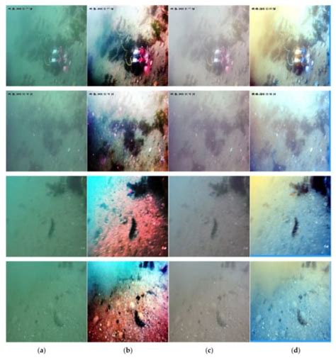 A Marine Organism Detection Framework Based On The Joint Optimization Of Image Enhancement And