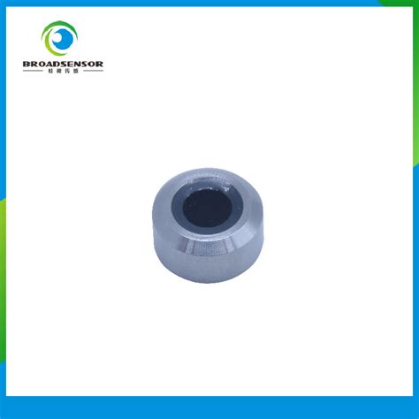 Fluorescent Cap For Online Optical Dissolved Oxygen Sensor China