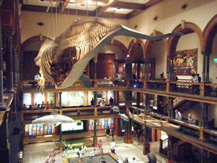 Bishop Museum
