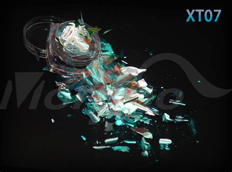 厦门闪蝶科技有限公司