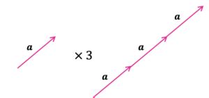 Vectors Worksheets Questions And Revision MME