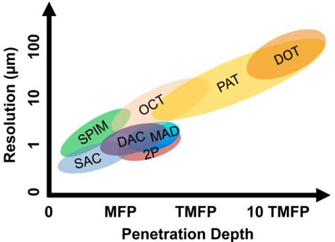 Resolution And Depth Tradeoffs In Common Optical Imaging Modalities In Download Scientific