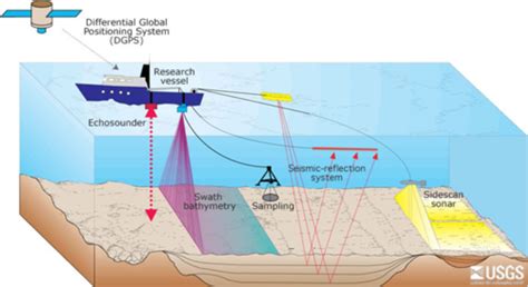 Lab Midterm Study Guide Flashcards Quizlet