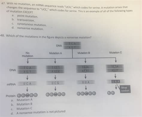Solved 47 With No Mutation An Mrna Sequence Reads Uca