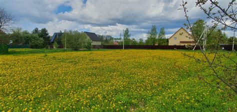 Земли поселения Московская область Одинцовский городской округ село Покровское агентство