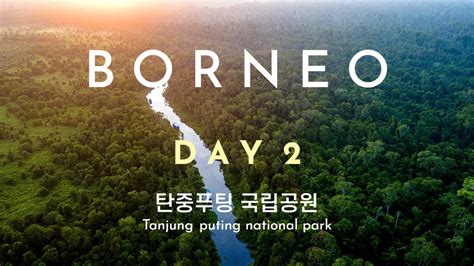 세계 3대 열대우림 보르네오섬 정글에서 맞이하는 둘째날 이야기 정글비 정글에서의 식사 왕을 만난 이야기 열대우림을