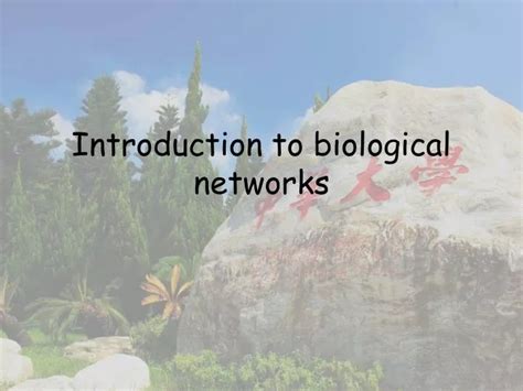 PPT Introduction To Biological Networks PowerPoint Presentation Free Download ID 764028