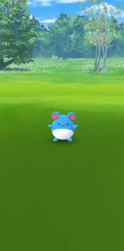 Pokemon Go Marill By Pintodemiranda On Deviantart