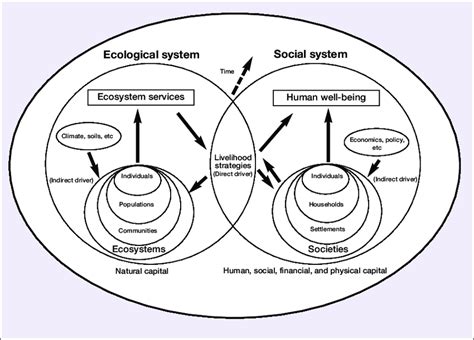 A Theoretical Framework Developed By Twine And Others For A Research