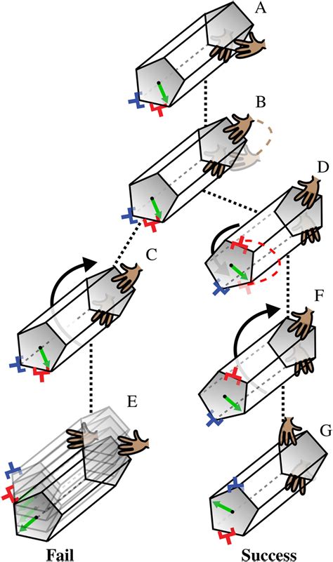 Different Action Paths To Collaboratively Manipulate The Object From Download Scientific