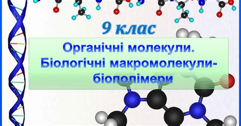 Презентація з теми Органічні молекули Біологічні макромолекули біополімери Презентація