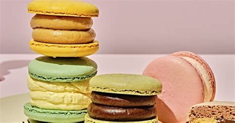 2달만에 30만개 팔린 널담 뚱카롱 초콜릿 맛도 출시[중기소식]