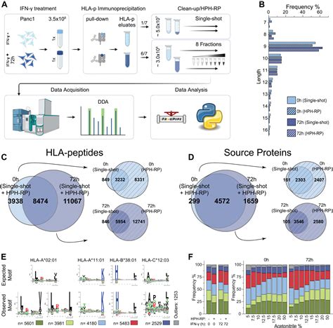 Deep Exploration Of The Immunopeptidome Of A Pancreatic Cancer Cell