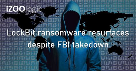 Lockbit Ransomware Resurfaces Despite Fbi Takedown