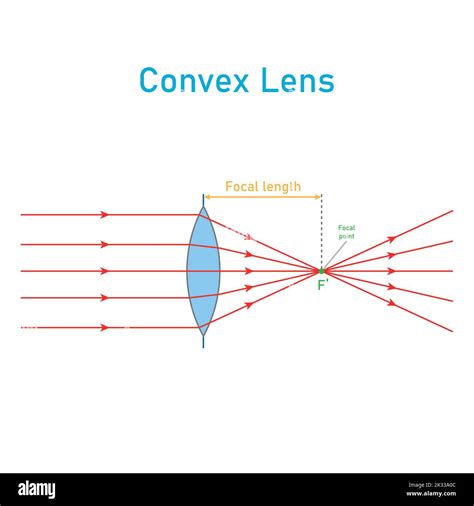 Concave Lens Diagram Hi Res Stock Photography And Images Alamy