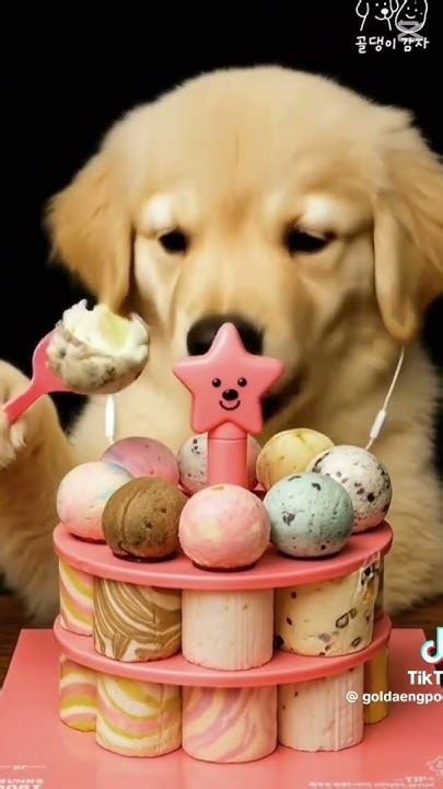 귀여운 강아지 Ai 먹방 ️ ️ Youtube