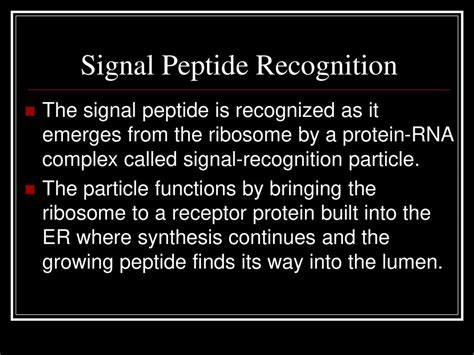 Chapter 17 From Gene To Protein Ppt Download