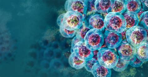 Reproducible Drug Screening Assays Using Single Organoids