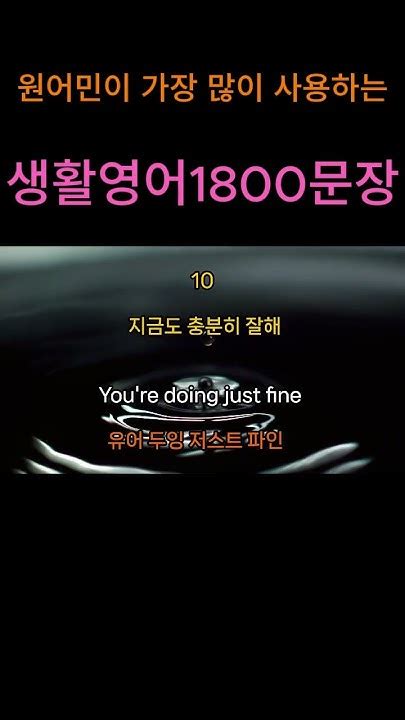 Talk Easy 짧고 쉬운 실생활영어1100문장｜기초생활영어｜수면영어｜생활영어｜기초영어｜영어말하기｜기초영어회화｜영어듣기｜영어